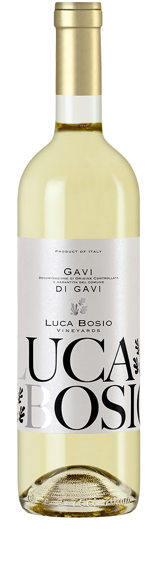 Wines || Bosio :: A heritage to share